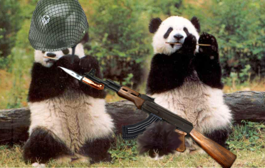 Panda Soldiers by SG-nightingale on DeviantArt