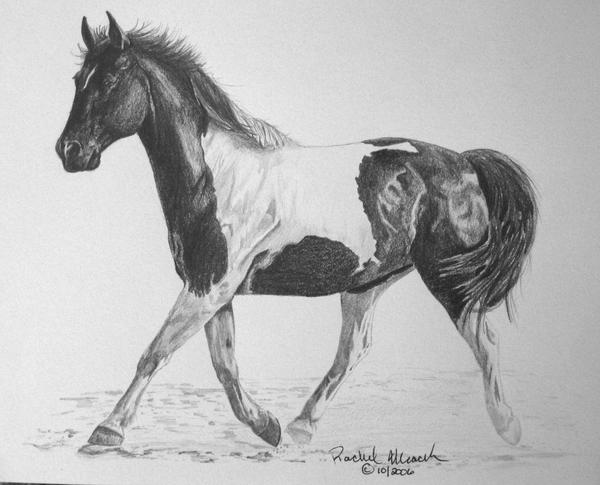 Painted Trotter by ApplesCarrotsnGrain on DeviantArt