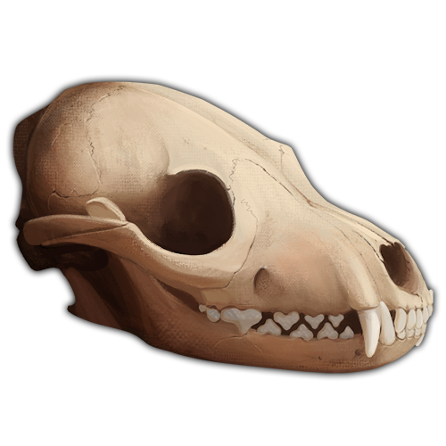 Fox Skull By Hvallaadmin On Deviantart