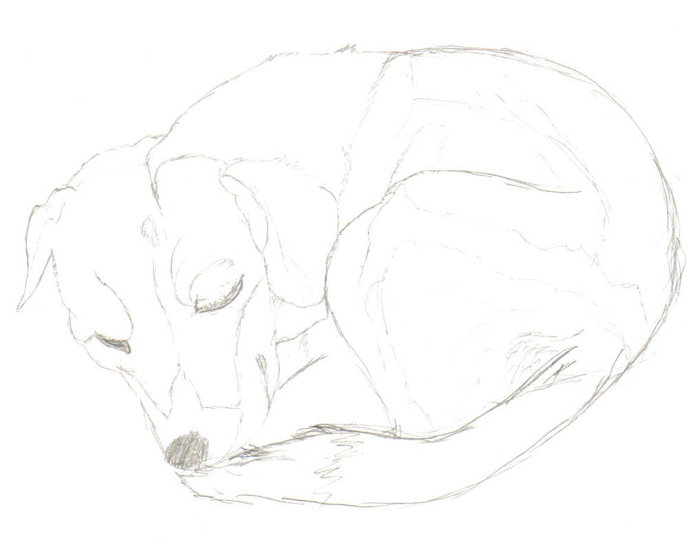 Molly - Sleeping by JaspersAutumn on DeviantArt