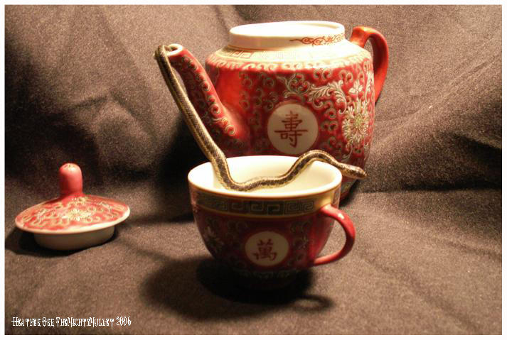 care for a cup of snake tea? by TheMightyMullet on DeviantArt