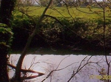 Trees over Water by bellarie on DeviantArt