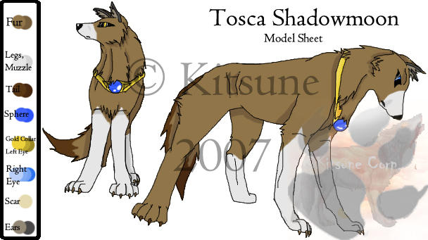 Tosca Model Sheet by ShadowmoonHOWLSclub on DeviantArt