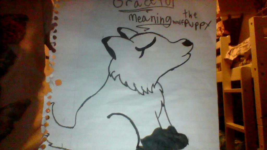 Graceful Meaning By Sonadowstorymaker On DeviantArt graceful-meaning-by-sonadowstorymaker-on-deviantart