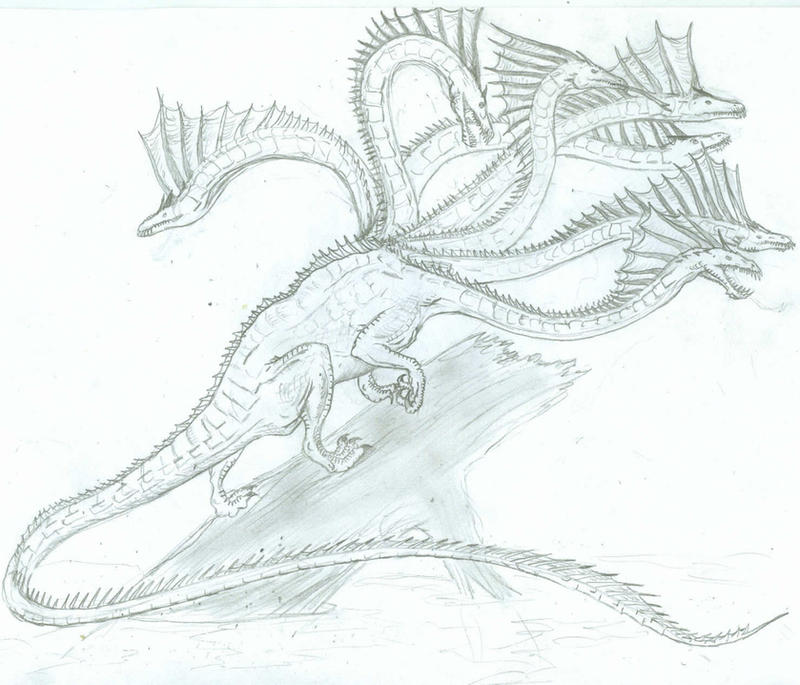 Hydra Sketch by Ashere on DeviantArt
