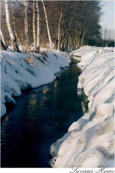 Stream of life by SaviourHome on DeviantArt