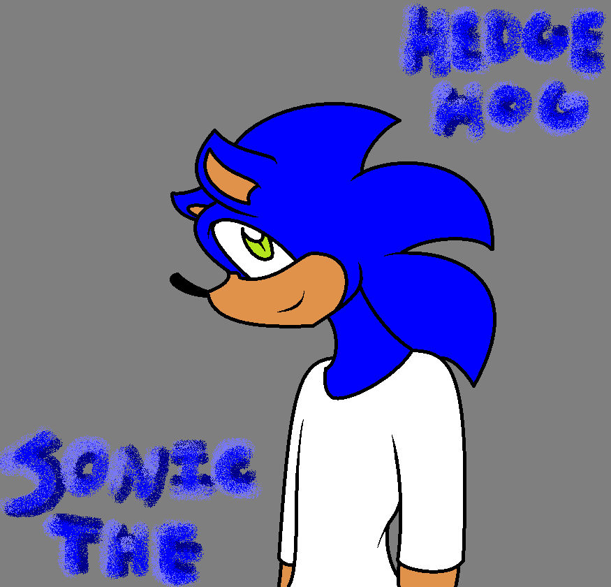 Sonic The Hedgehog By Hatsondash4322 On Deviantart