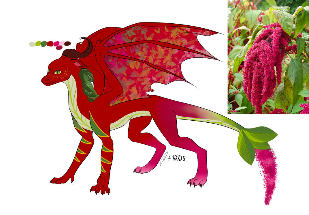 Amaranth - one of my dragon OCs (read desc pls) by dragondrawer5 on ... Amaranth - one of my dragon OCs (read desc pls) by dragondrawer5 on ...