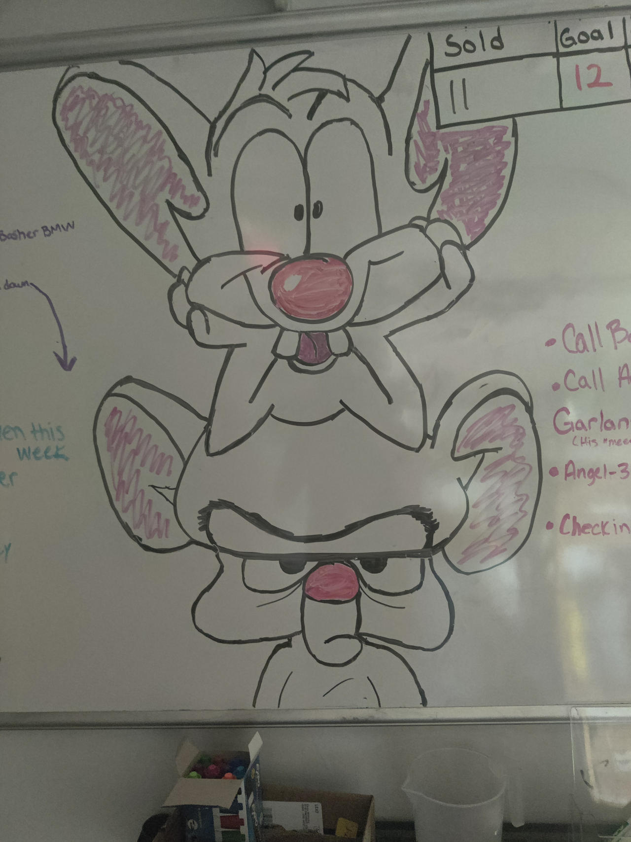 Pinky And The Brain By Wtfcasey On Deviantart