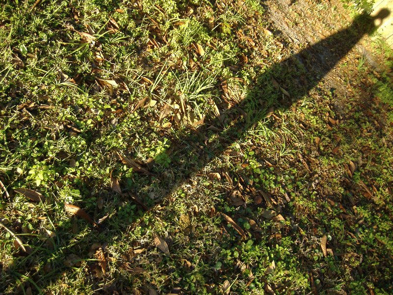 Chasing Shadows by richardxthripp on DeviantArt