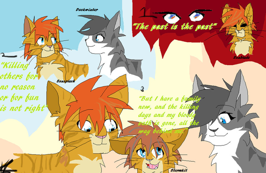 Warriorcats Sunsplash Contest By Jaystar0214 On Deviantart