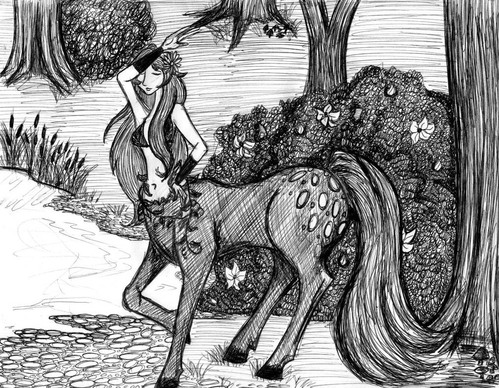 Lady Centaur By Stariachiba On Deviantart