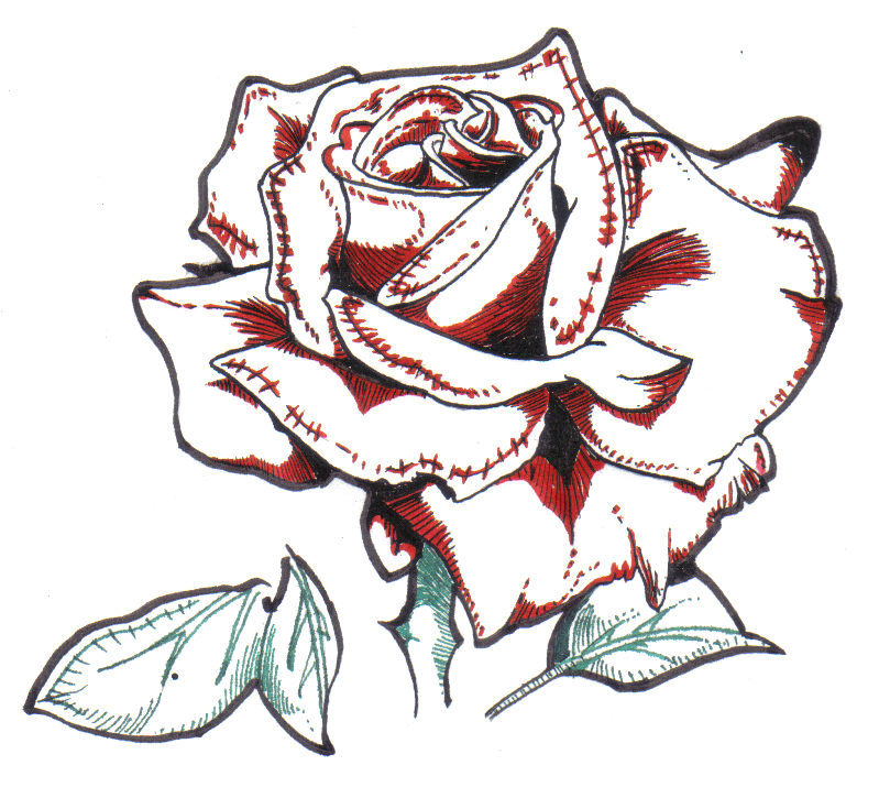 Blood Rose by King100 on DeviantArt