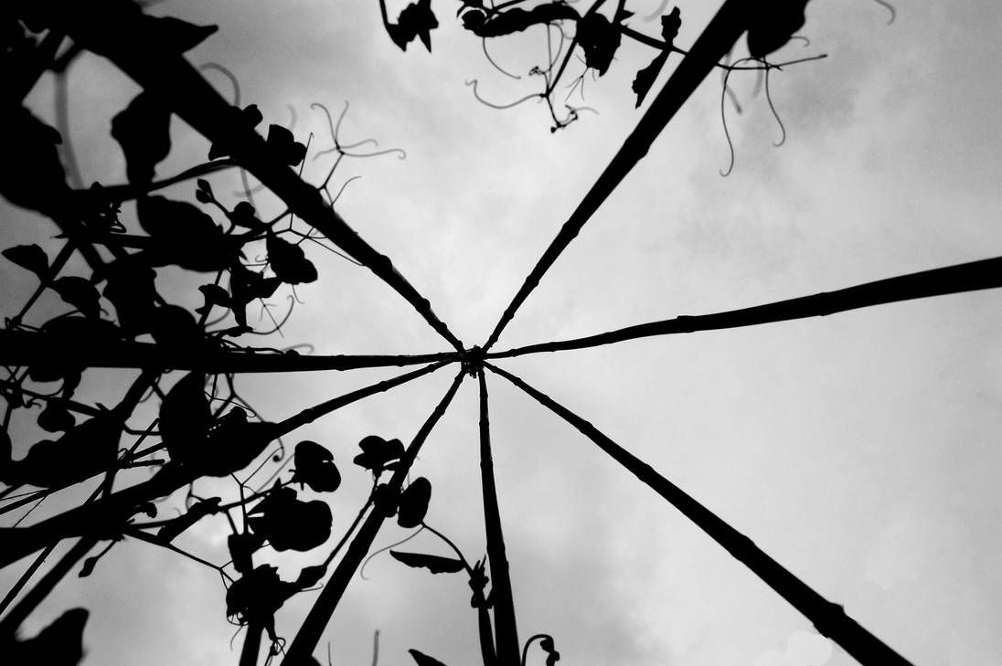 Infinity B+W by clairehelen on DeviantArt