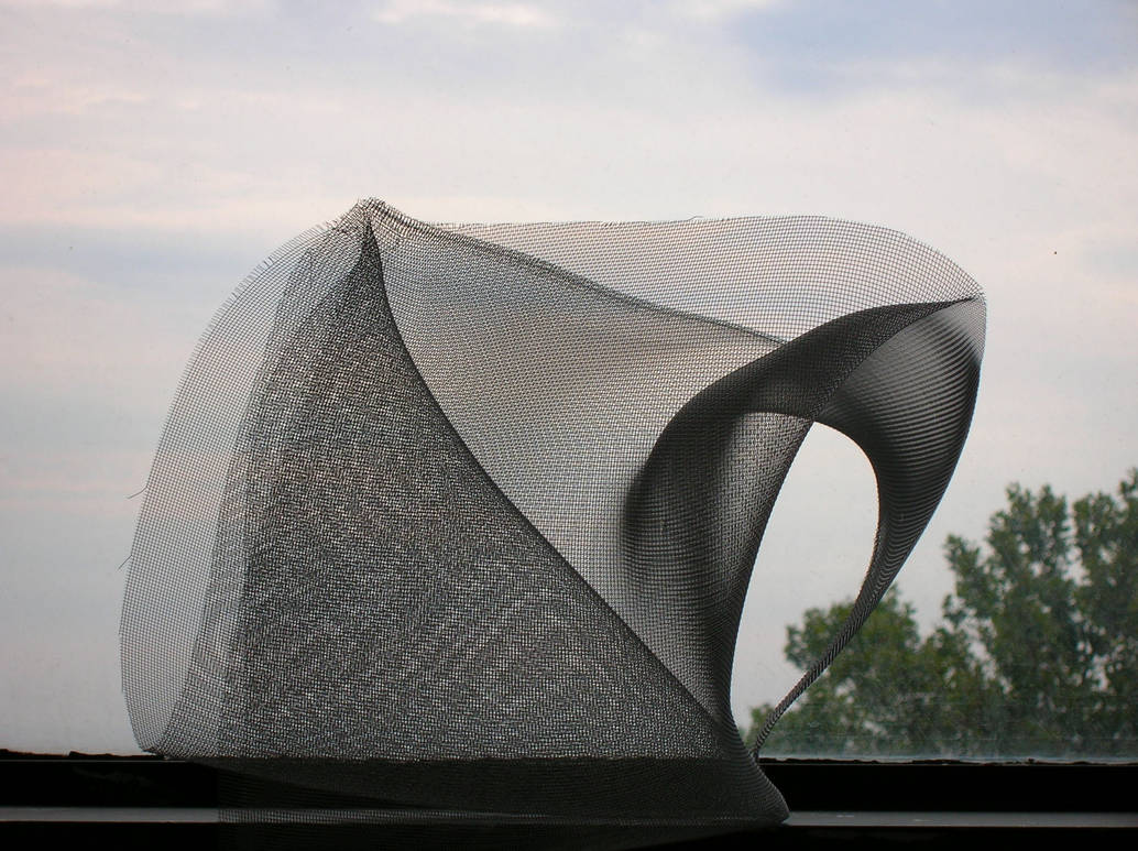 Wire Mesh Sculpture By Iabresnick On DeviantArt wire-mesh-sculpture-by-iabresnick-on-deviantart