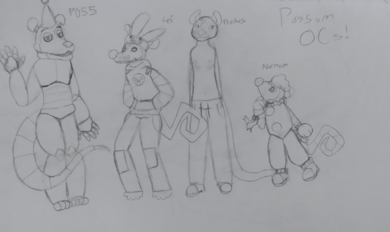 My Possum Ocs By Sheacremetfs On Deviantart