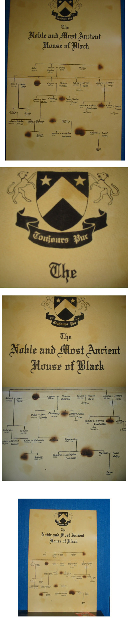 Black Family Tree by Slytherin by Hogwarts-Castle on DeviantArt