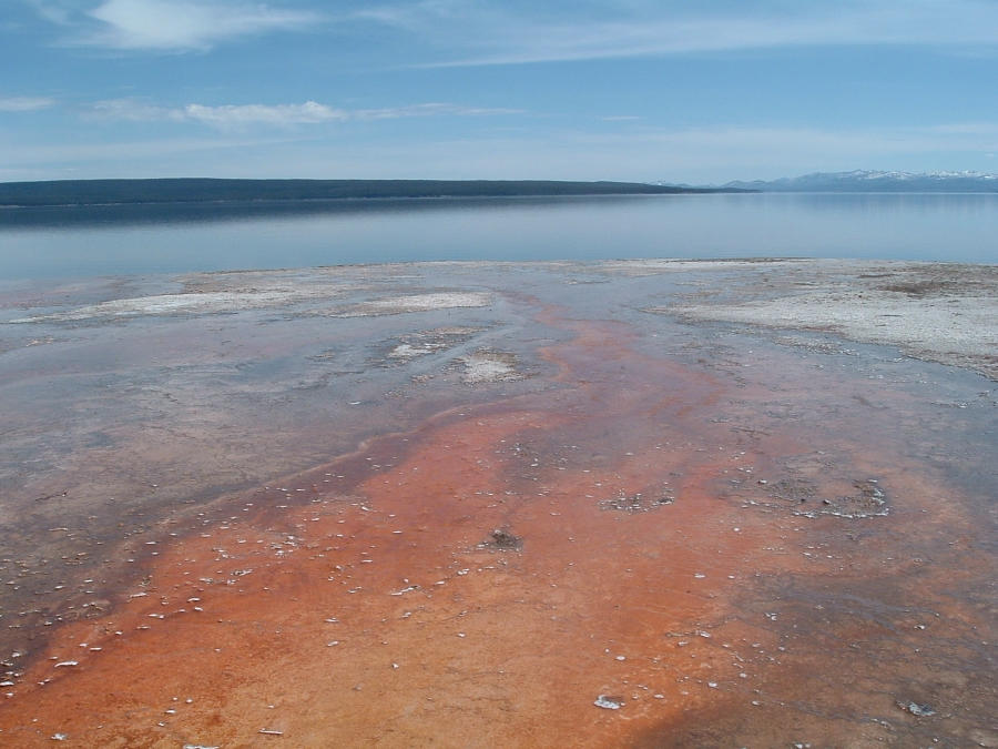 Belittle by sinistertranquility on DeviantArt