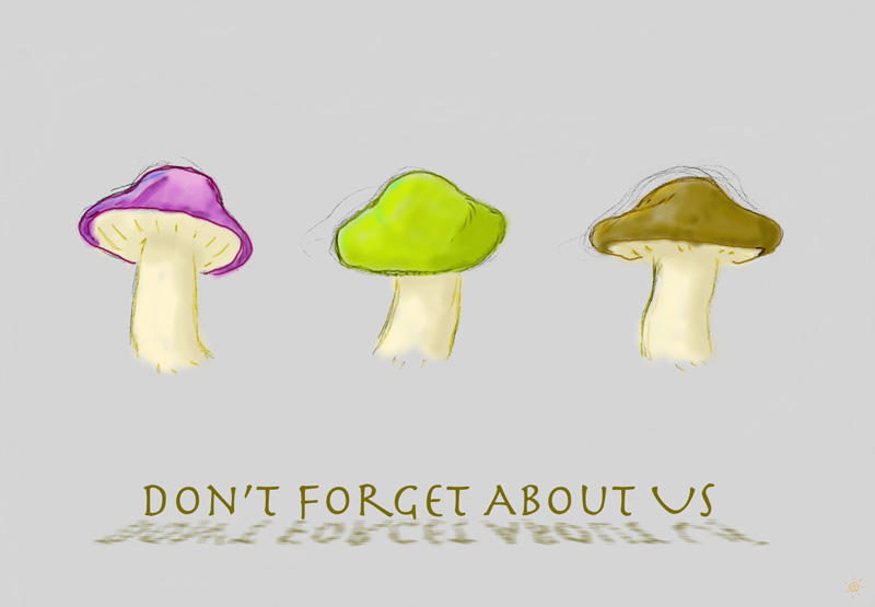 Saprophyte Workshop by PenguinStudios on DeviantArt