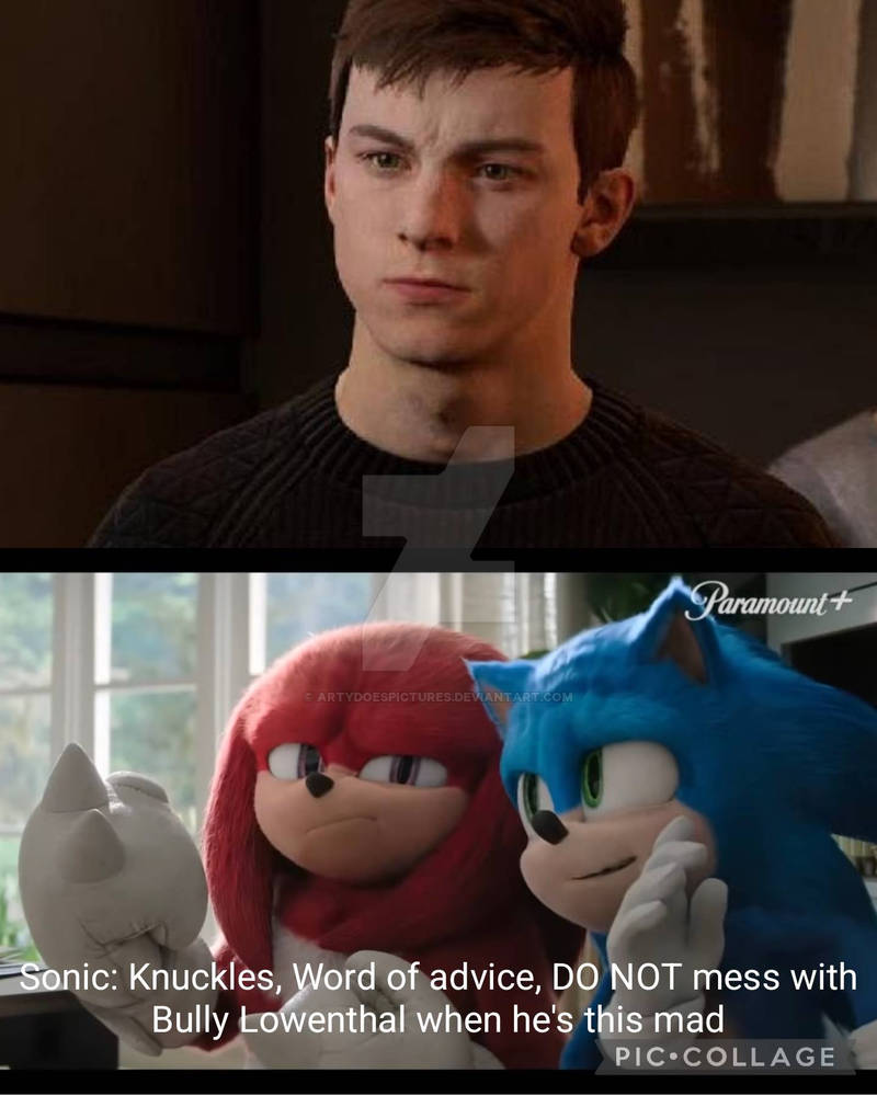 Sonic Advises Knuckles About Bully Ls Anger By Artydoespictures On