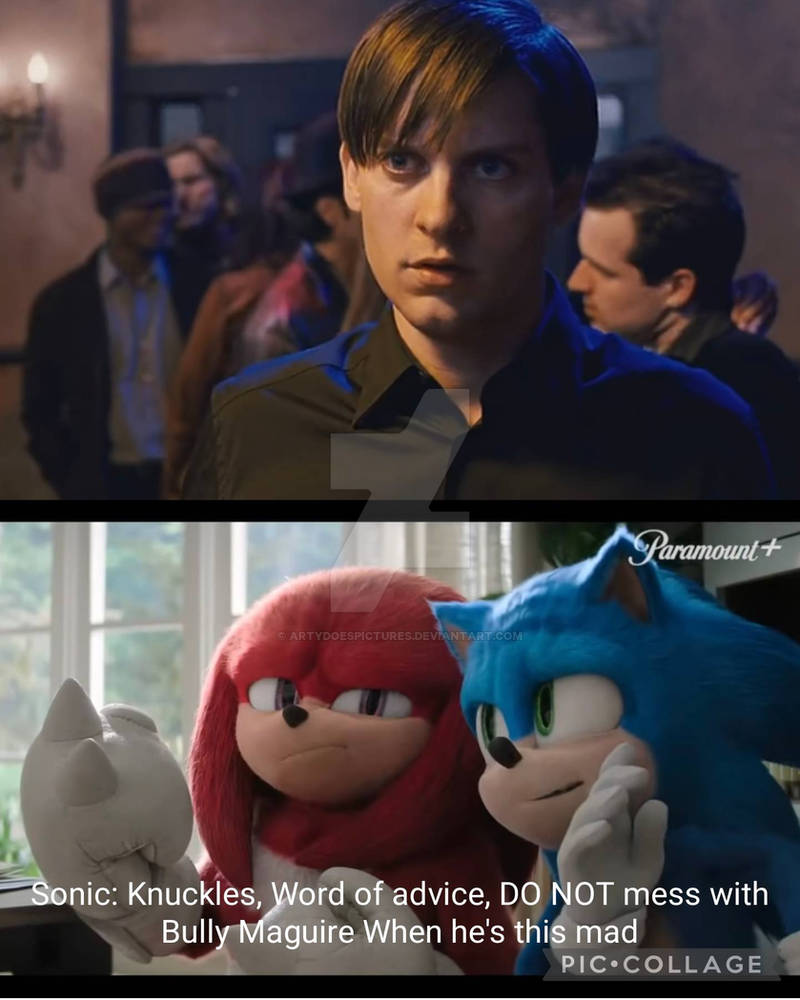 Sonic Advises Knuckles About Bully Maguires Anger By Artydoespictures