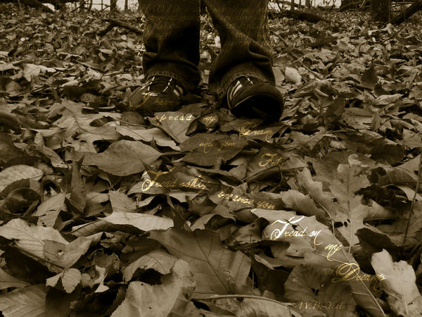 Tread Softly by jazzbowanton on DeviantArt