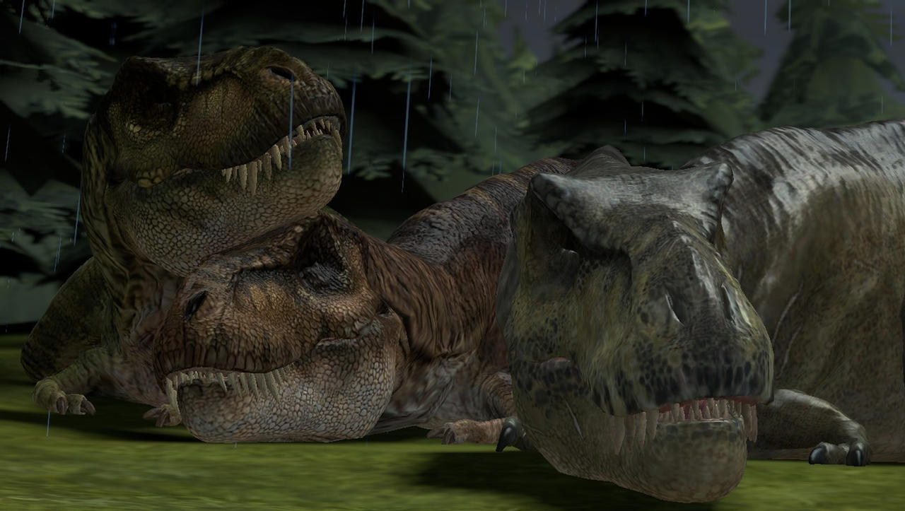 Sleeping Rexy Buck And Doe by TREX096 on DeviantArt Sleeping Rexy Buck And Doe by TREX096 on DeviantArt