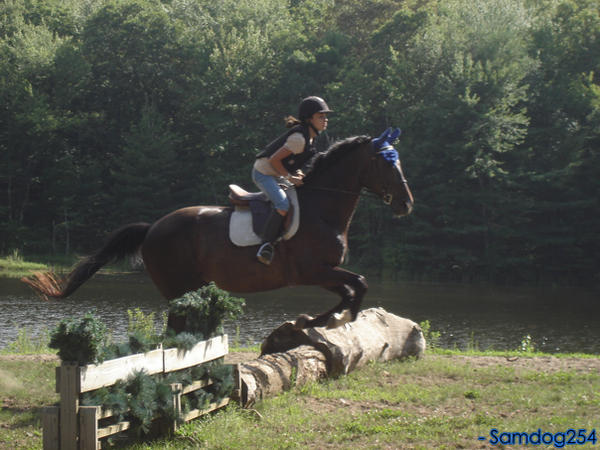 The Middle log 4 by samdog254 on DeviantArt