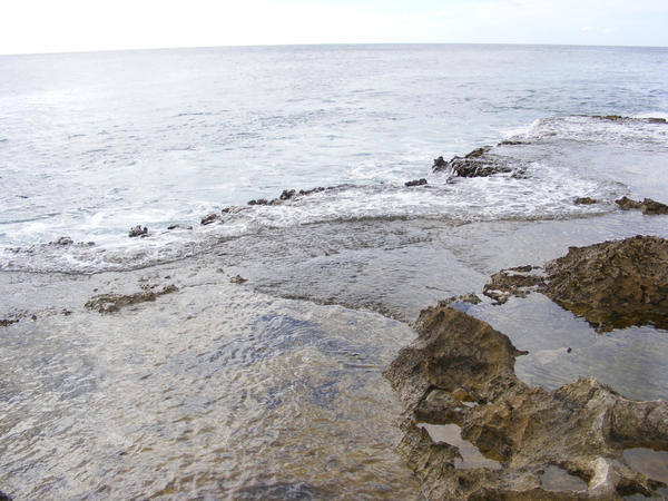 Water Creeping by mrslaplante on DeviantArt