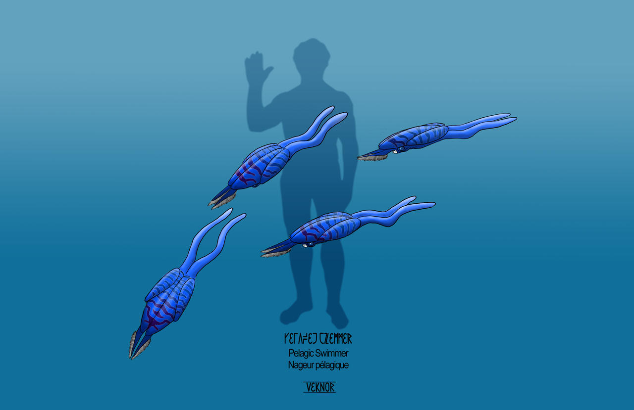 Pelagic Swimmer By Species Of Vekia On Deviantart