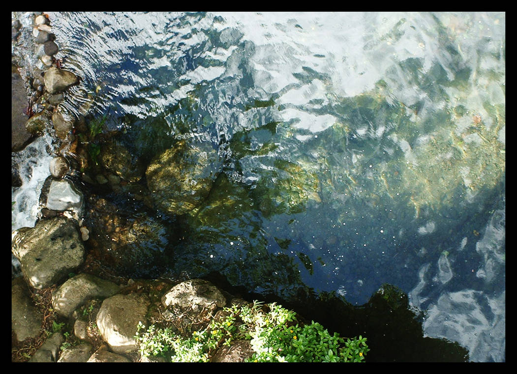 Pool of Tears by kotorishizukesa on DeviantArt