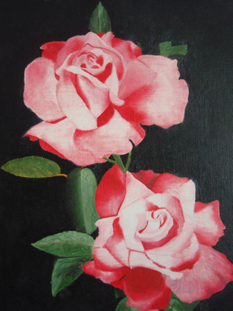 Twin Roses By Akemi183 On Deviantart