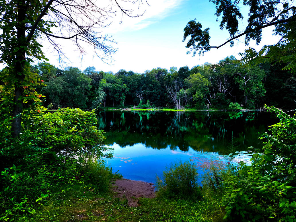 Pinhook Park by walkswithwounds on DeviantArt Pinhook Park by walkswithwounds on DeviantArt