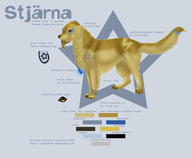 Golden retriever ref sheet by tailfeather on DeviantArt