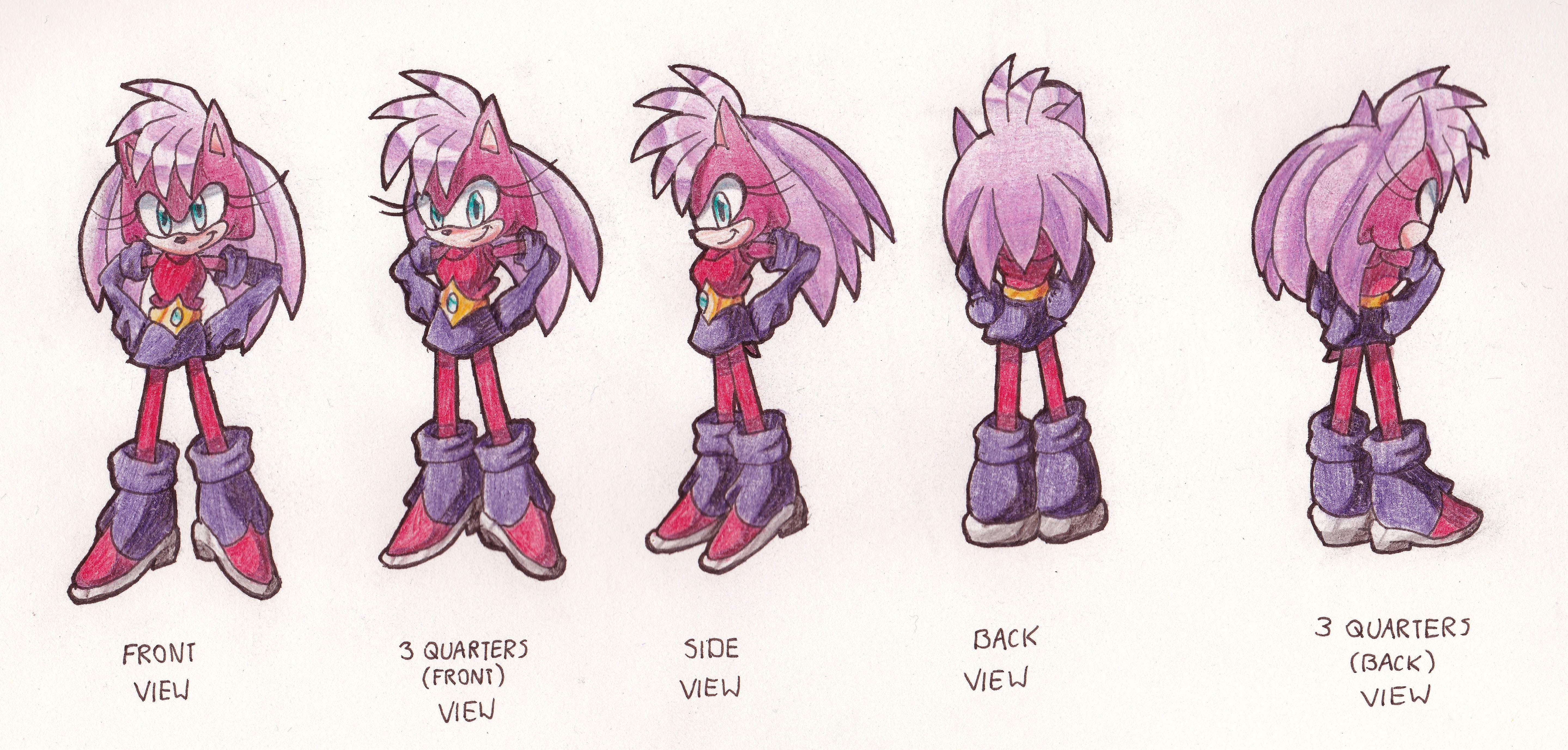 Sonia The Hedgehog Design Views By Thebluering On Deviantart