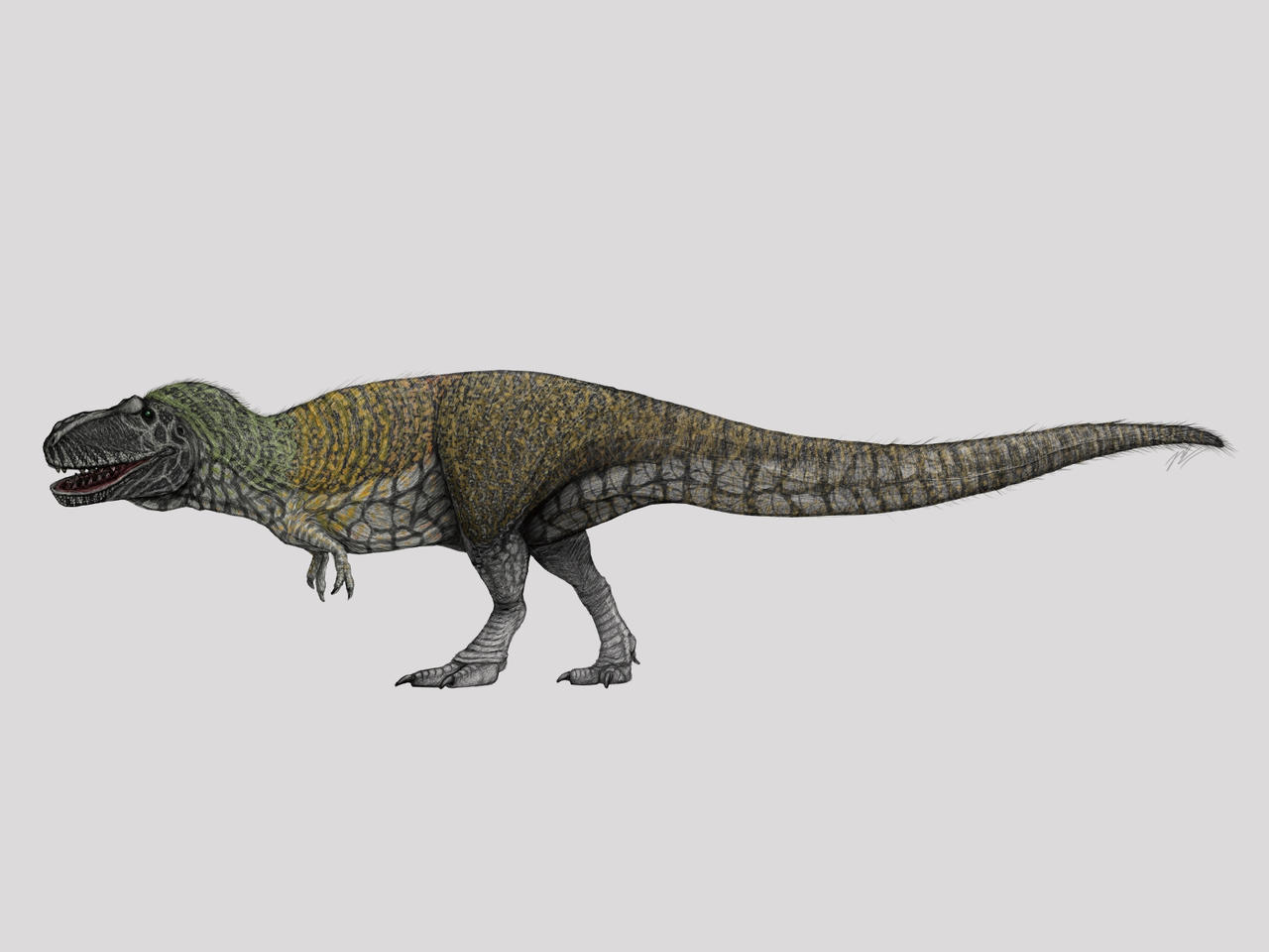 Daspletosaurus Torosus By Ngphurb On Deviantart
