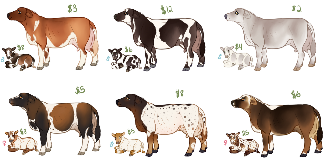 Dairy Cattle Cows And Calves Closed By Luckdown On Deviantart