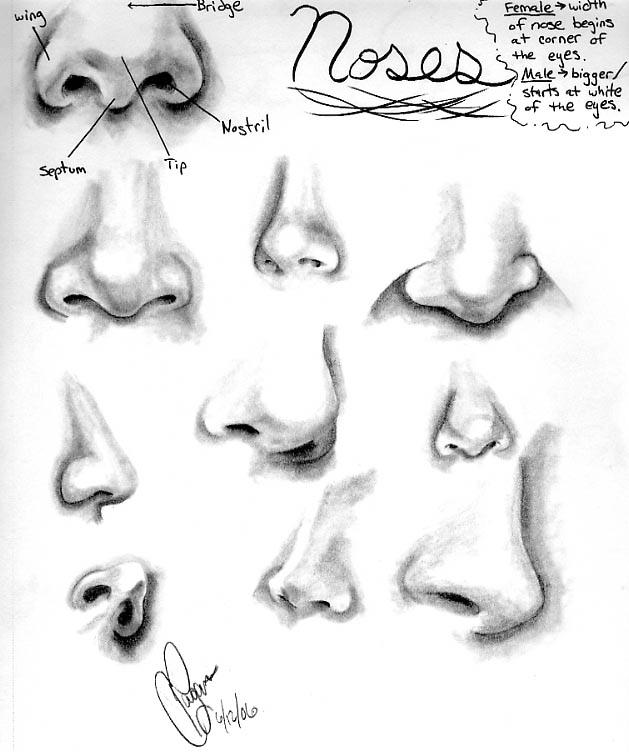 cute nose drawing reference