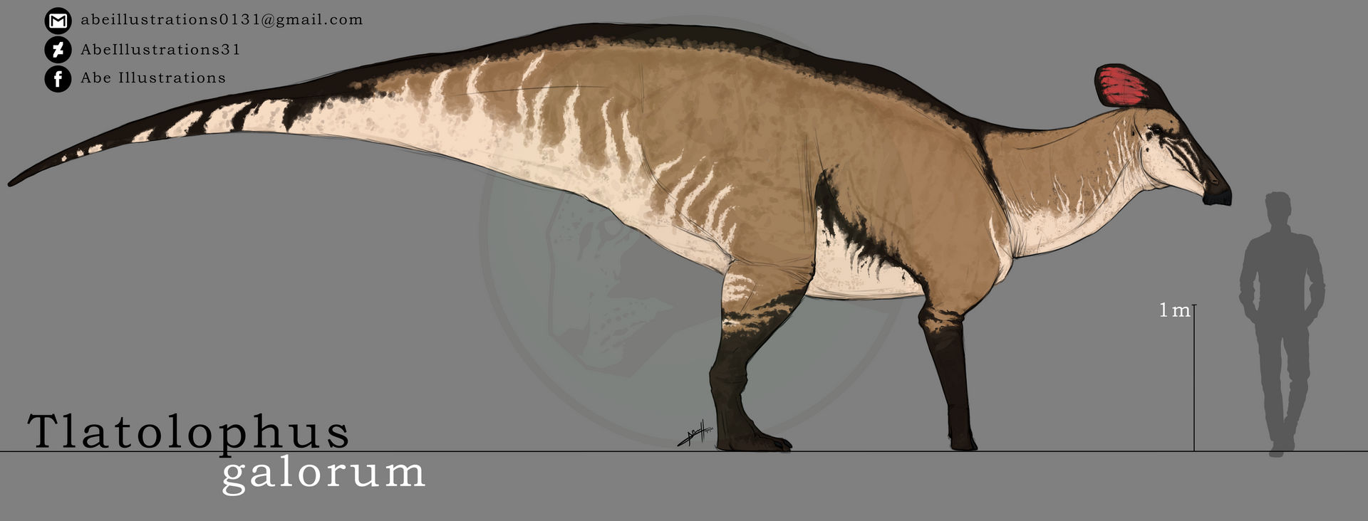 Tlatolophus galorum - Skin Definitiva I by AbeIllustrations31 on DeviantArt Tlatolophus galorum - Skin Definitiva I by AbeIllustrations31 on DeviantArt