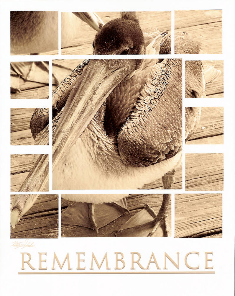 Remembrance by Chesire-Daydreamer on DeviantArt Remembrance by Chesire-Daydreamer on DeviantArt