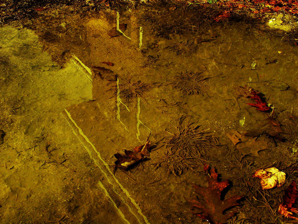 Mud Puddle by quantumcat on DeviantArt