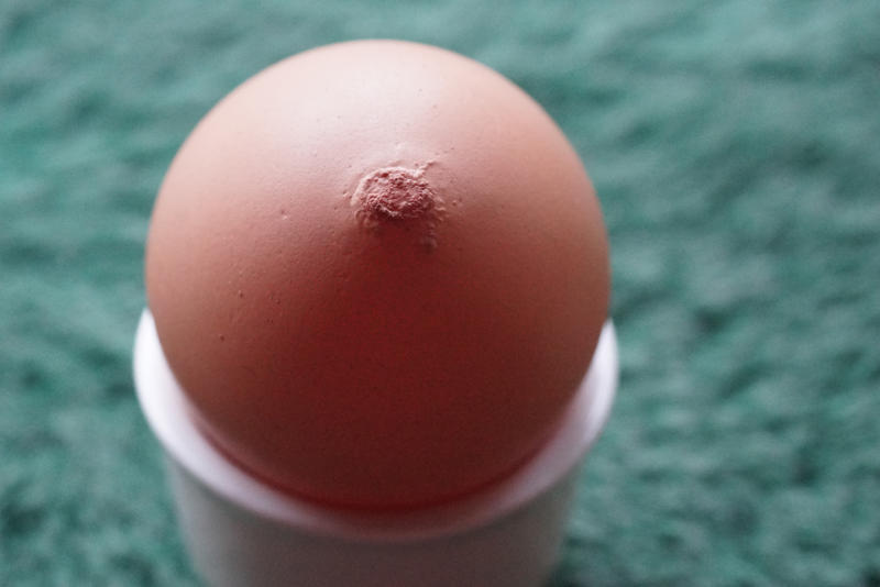 Sexy Egg By Xena1509 On Deviantart