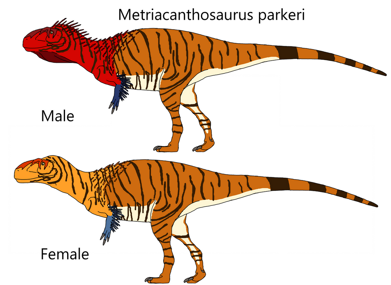Metriacanthosaurus Parkeri By Draco300 On Deviantart
