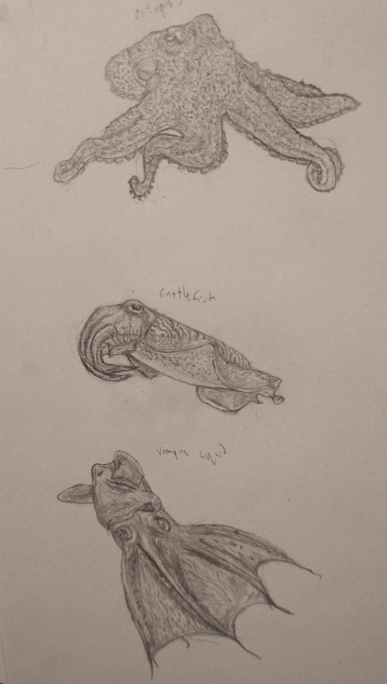 Terrific Tentacles Sketch by AnikaAnomaly on DeviantArt Terrific Tentacles Sketch by AnikaAnomaly on DeviantArt
