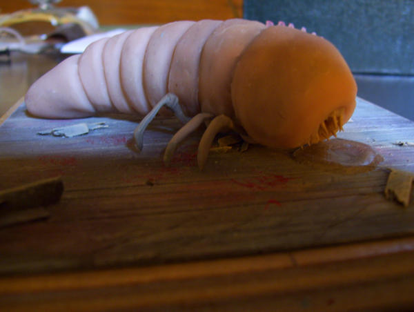 Ant Lion Grub by CarabARTS on DeviantArt