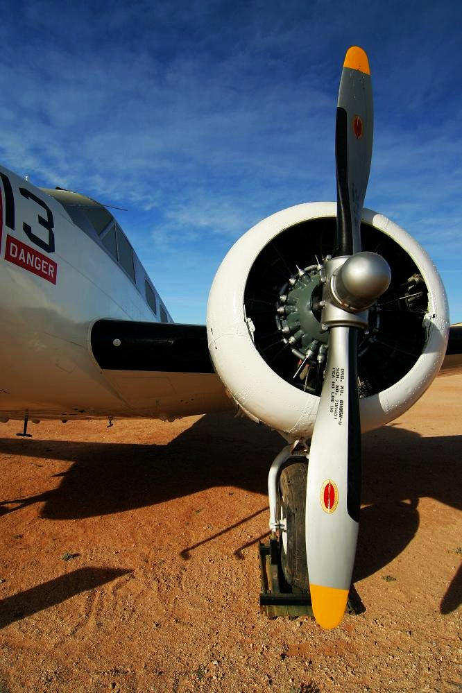 elisi by gnepot on DeviantArt