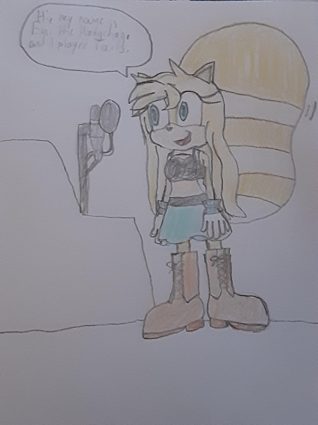 Tanooki Emi The Hedgehog By Nhwood On Deviantart