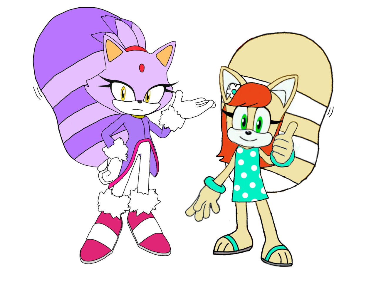 Tanooki Blaze And Tanooki Carolina By Nhwood On Deviantart