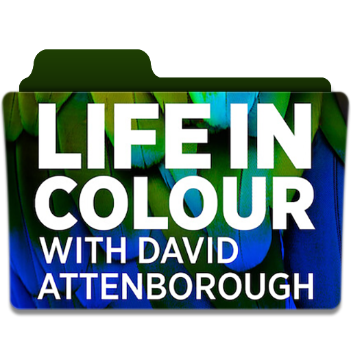 Life in Colour Folder Icon by shabkoor68 on DeviantArt Life in Colour Folder Icon by shabkoor68 on DeviantArt