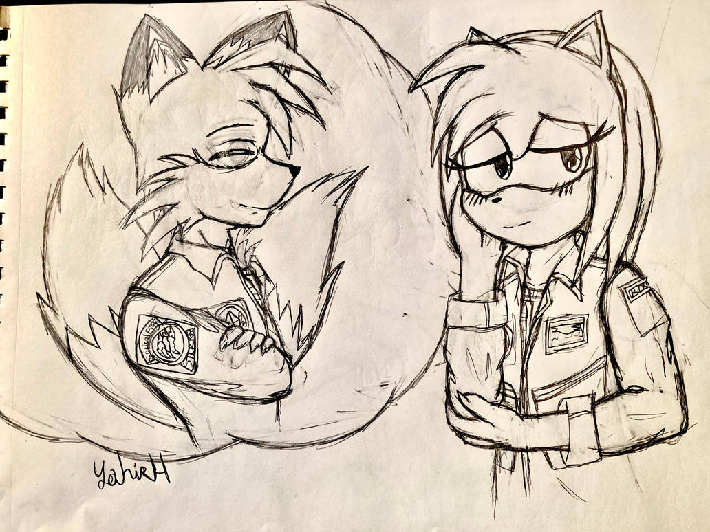 Amy X Tails By Yahirh7 On Deviantart